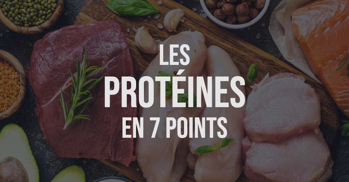 Qu'est-ce Qu'une Protéine? LE Guide à Connaitre En Muscu
